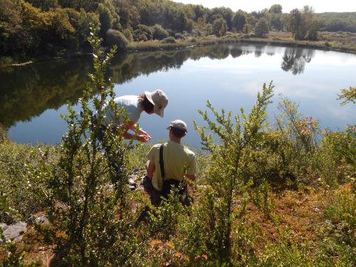 Visite du parc des Dranse : histoire & spécificités (samedi à 10h) | J ...
