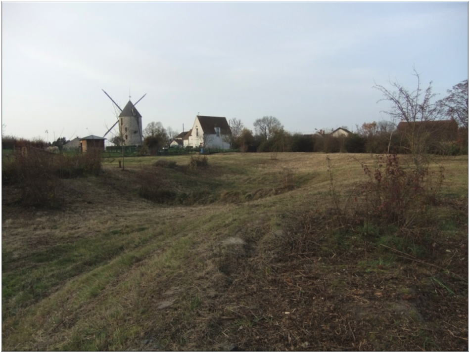 Fauchage d'une pelouse calcaro-marneuse | J'agis pour la nature