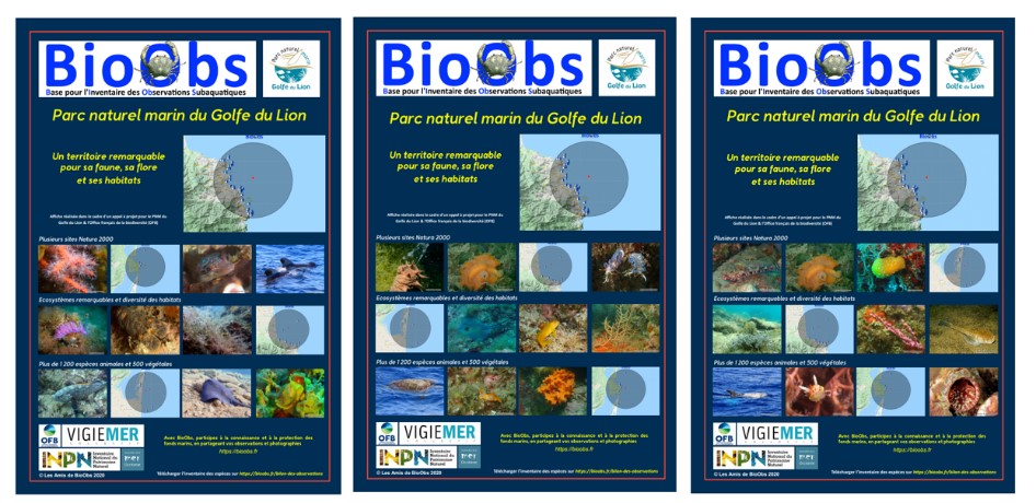 Inventaire naturaliste dans le Parc naturel Marin du Golfe du Lion | J ...