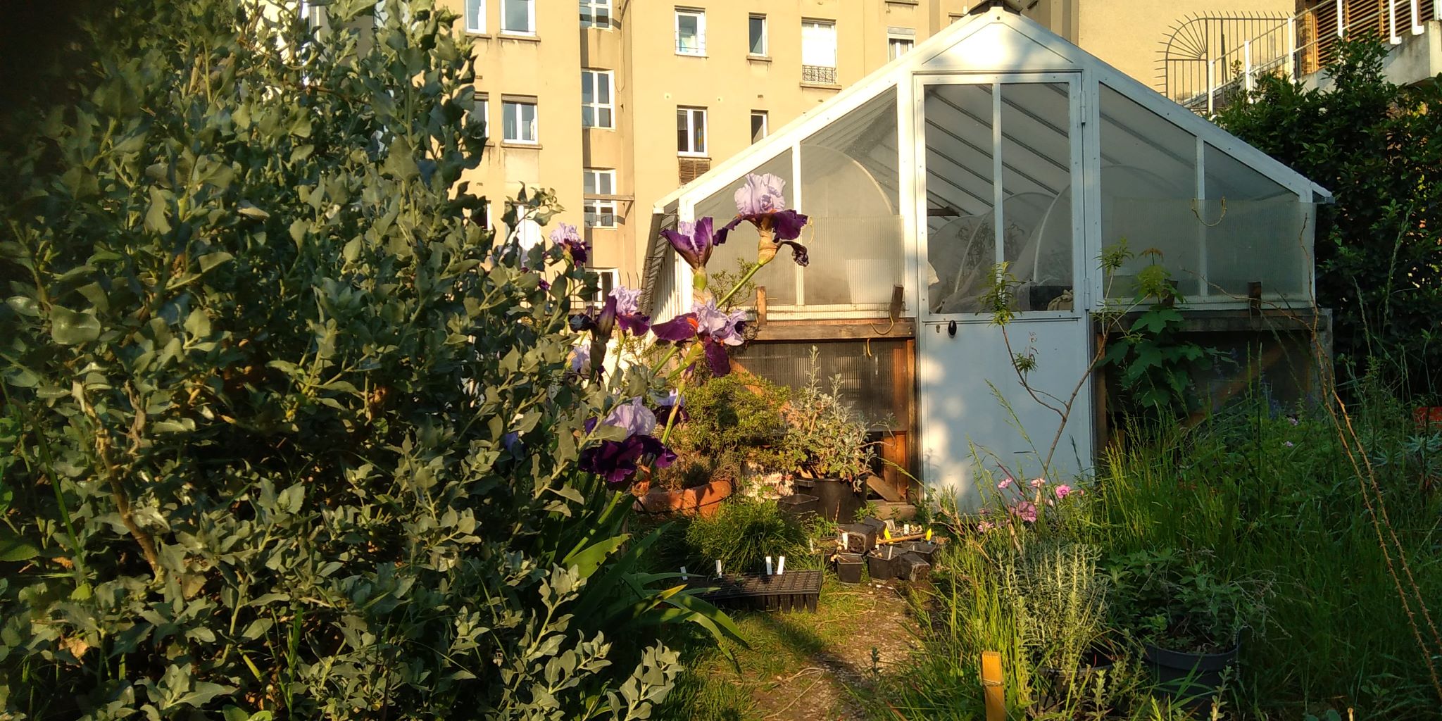 Atelier "Coup de main" à la Pépinière Chanzy | J'agis pour la nature