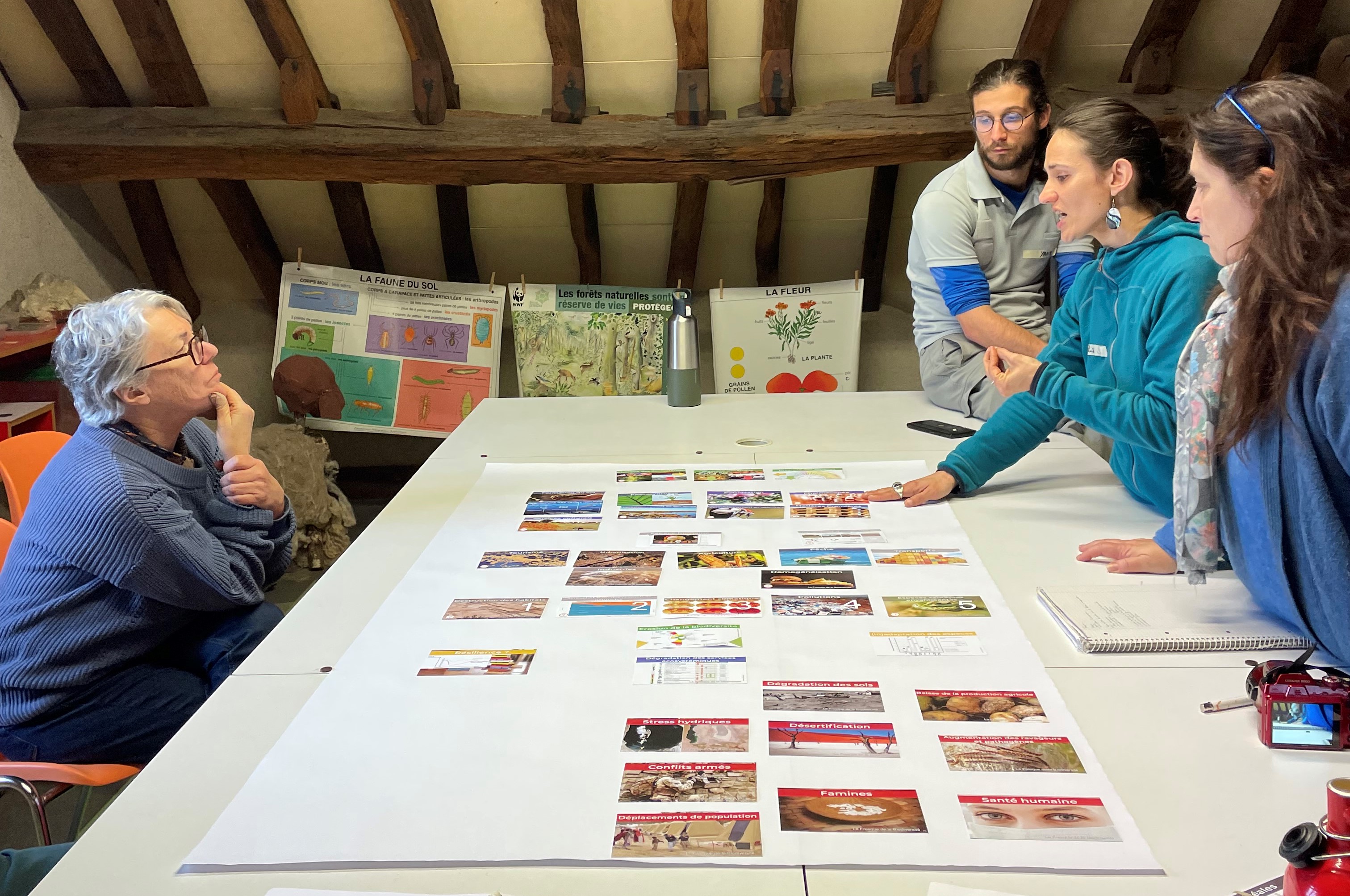 Atelier Fresque de la Biodiversité | J'agis pour la nature