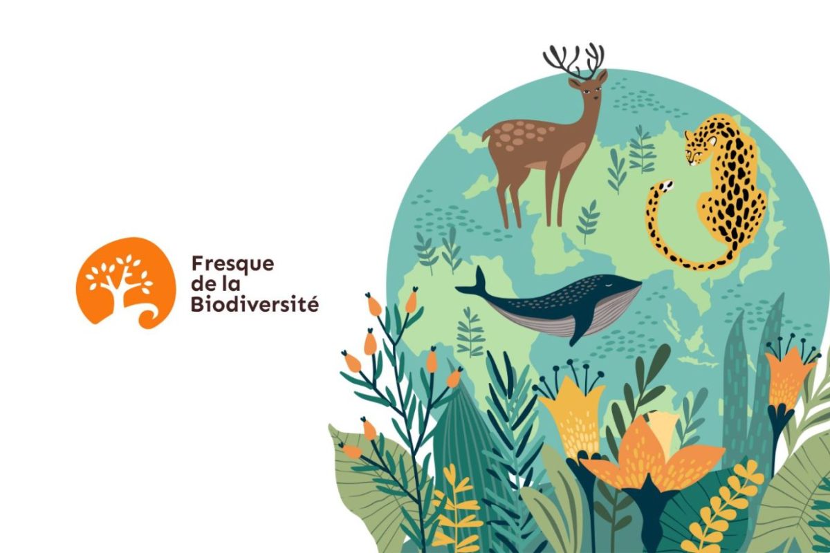 Fresque de la biodiversité | J'agis pour la nature